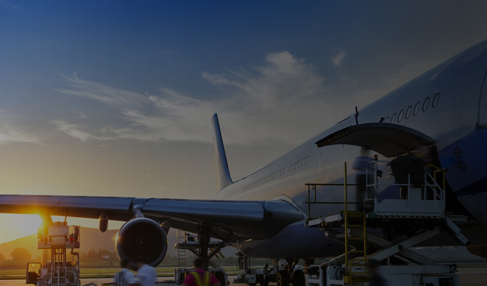 Damarel Systems: Class-Leading Aviation IT Solutions