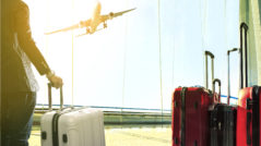 Damarel Systems: Class-Leading Aviation IT Solutions